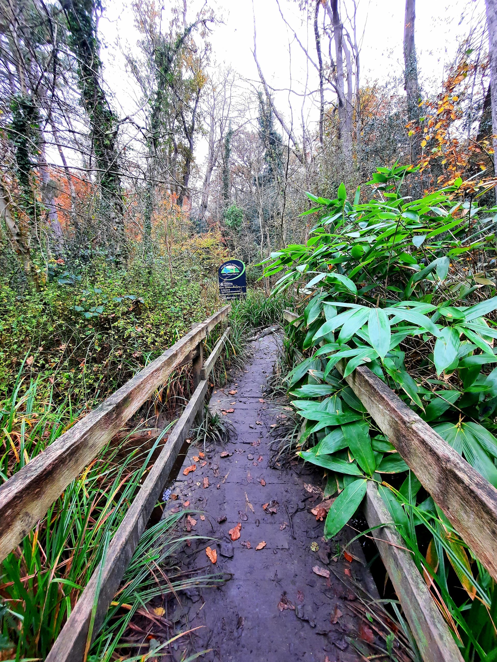 Live Love Local | The Mansion at Coldeast