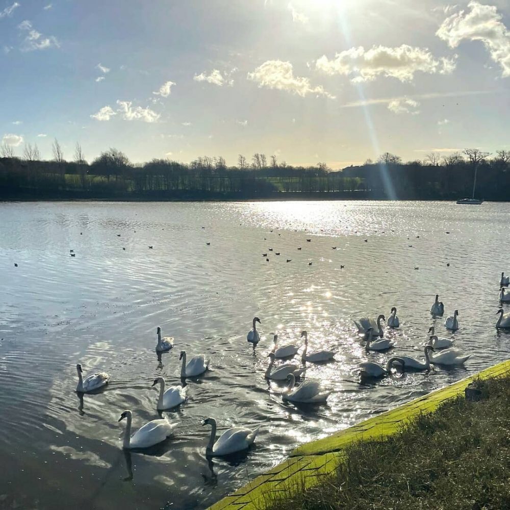 Live Love Local | Fareham