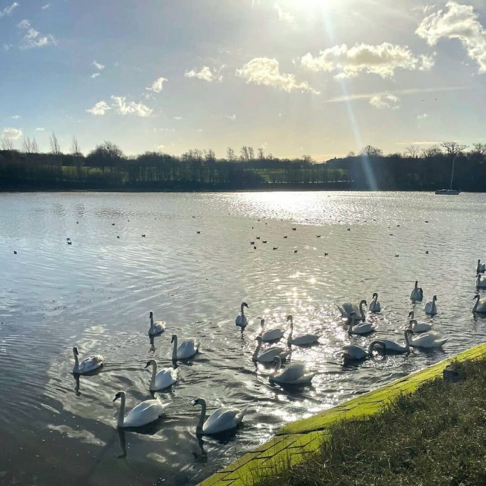 Live Love Local | Fareham